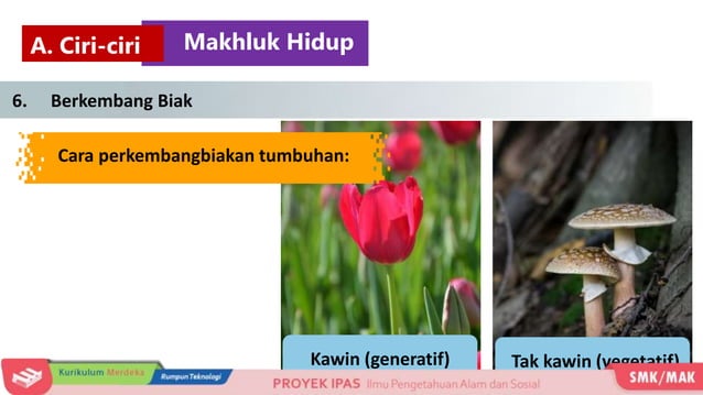 BAB 1 - Makhluk Hidup dan Lingkungannya.pptx