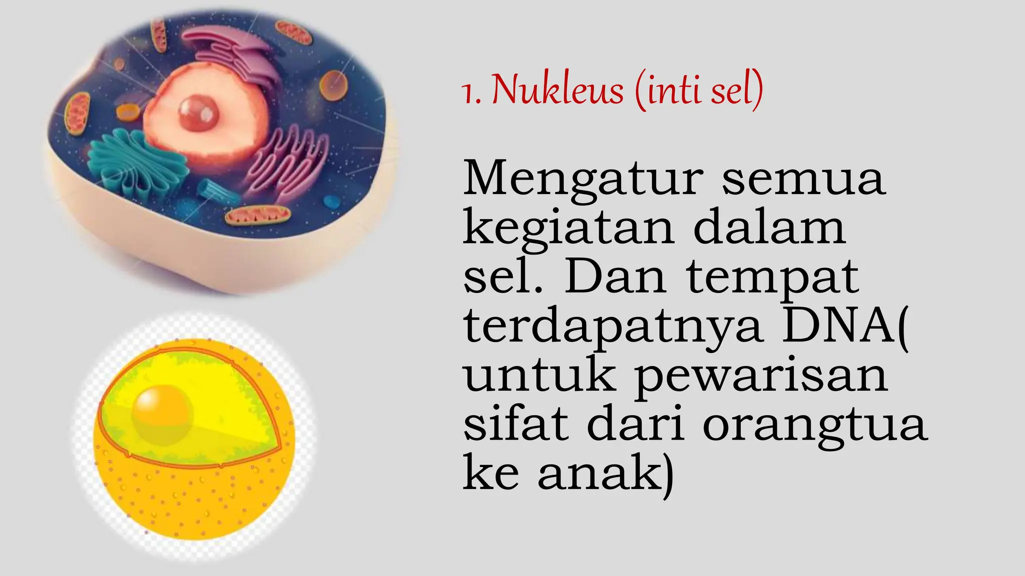 PENGENALAN SEL IPA KELAS 8 KURIKULUM MERDEKA.pptx