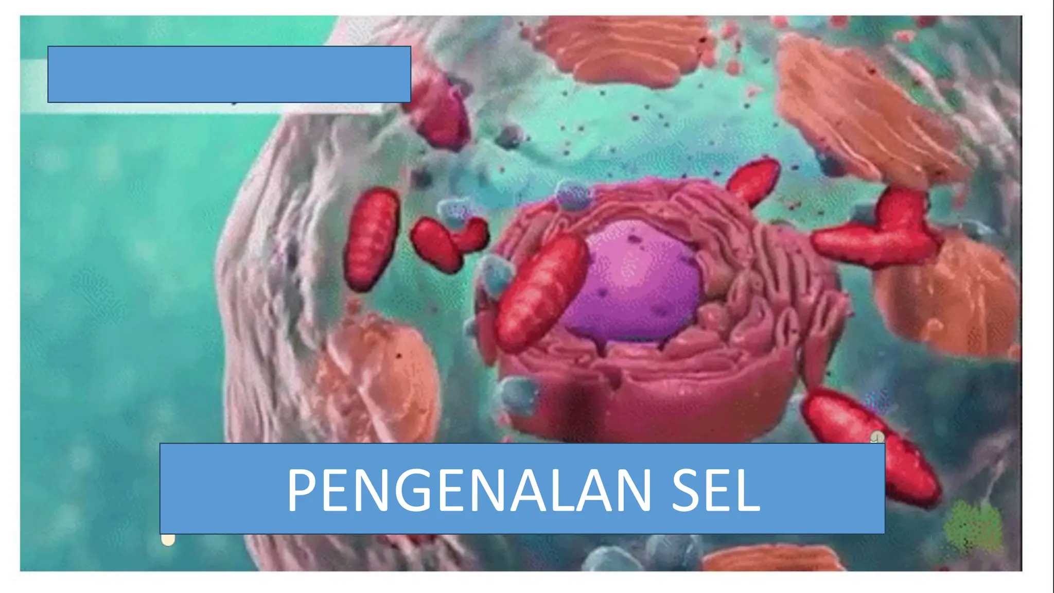 PENGENALAN SEL IPA KELAS 8 KURIKULUM MERDEKA.pptx