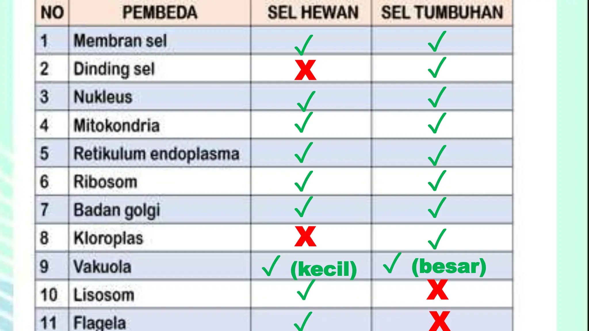 PENGENALAN SEL IPA KELAS 8 KURIKULUM MERDEKA.pptx