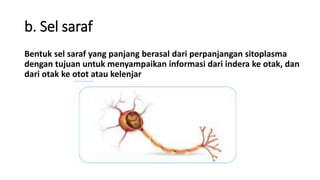 PENGENALAN SEL IPA KELAS 8 KURIKULUM MERDEKA.pptx
