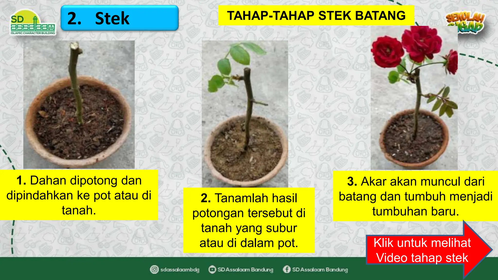 BAB 1 - Perkembangbiakan Tumbuhan dan Hewan.pptx