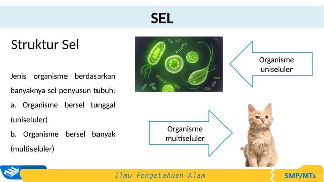 Bab 1-Sel dan Perkembangannya. IPA kelas 8pptx | PPTX