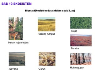 Bab 10.ekosistem | PPT