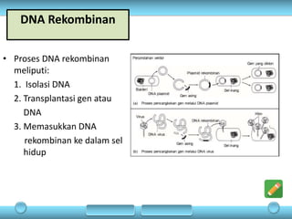 PPT Biologi Kelas XII SMA Materi Bioteknologi | PPTX