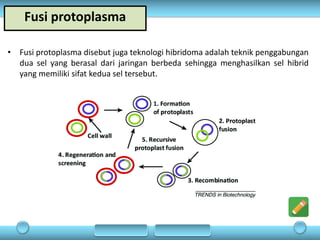 PPT Biologi Kelas XII SMA Materi Bioteknologi | PPTX