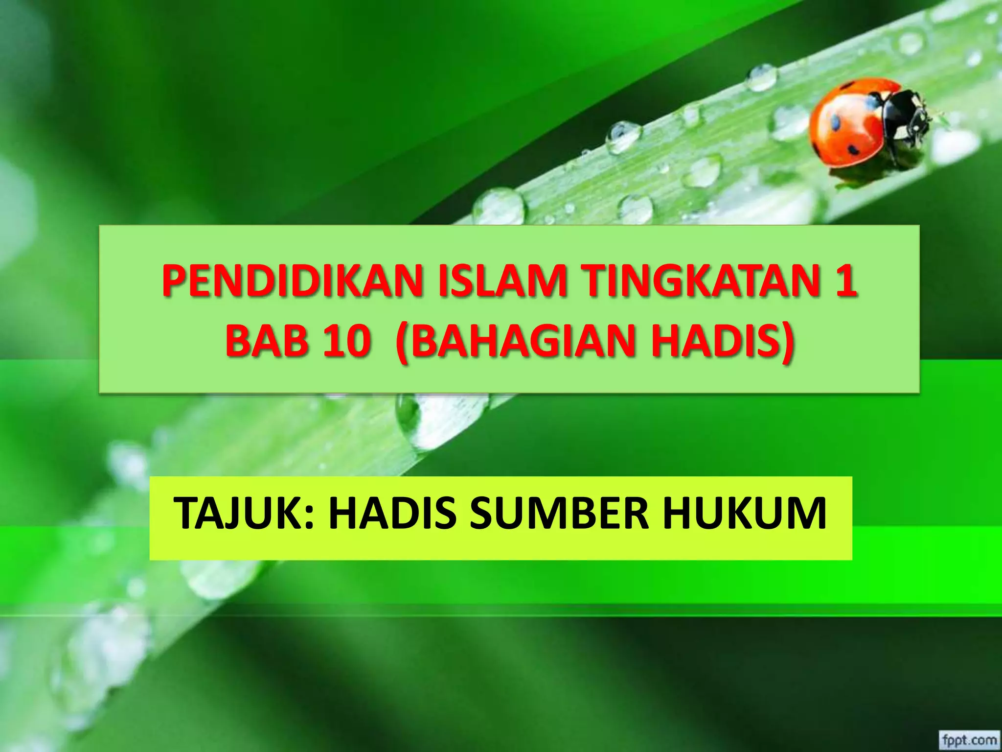 Bab 10 hadis sumber hukum | PPTX