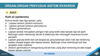 BAB 10 SISTEM EKSKRESI PADA MANUSIA.pptx