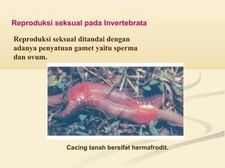 Bab 10 sistem reproduksi | PPT