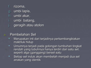 sistem reproduksi | PPT