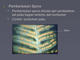 sistem reproduksi | PPT