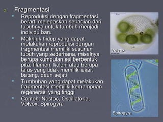 sistem reproduksi | PPT