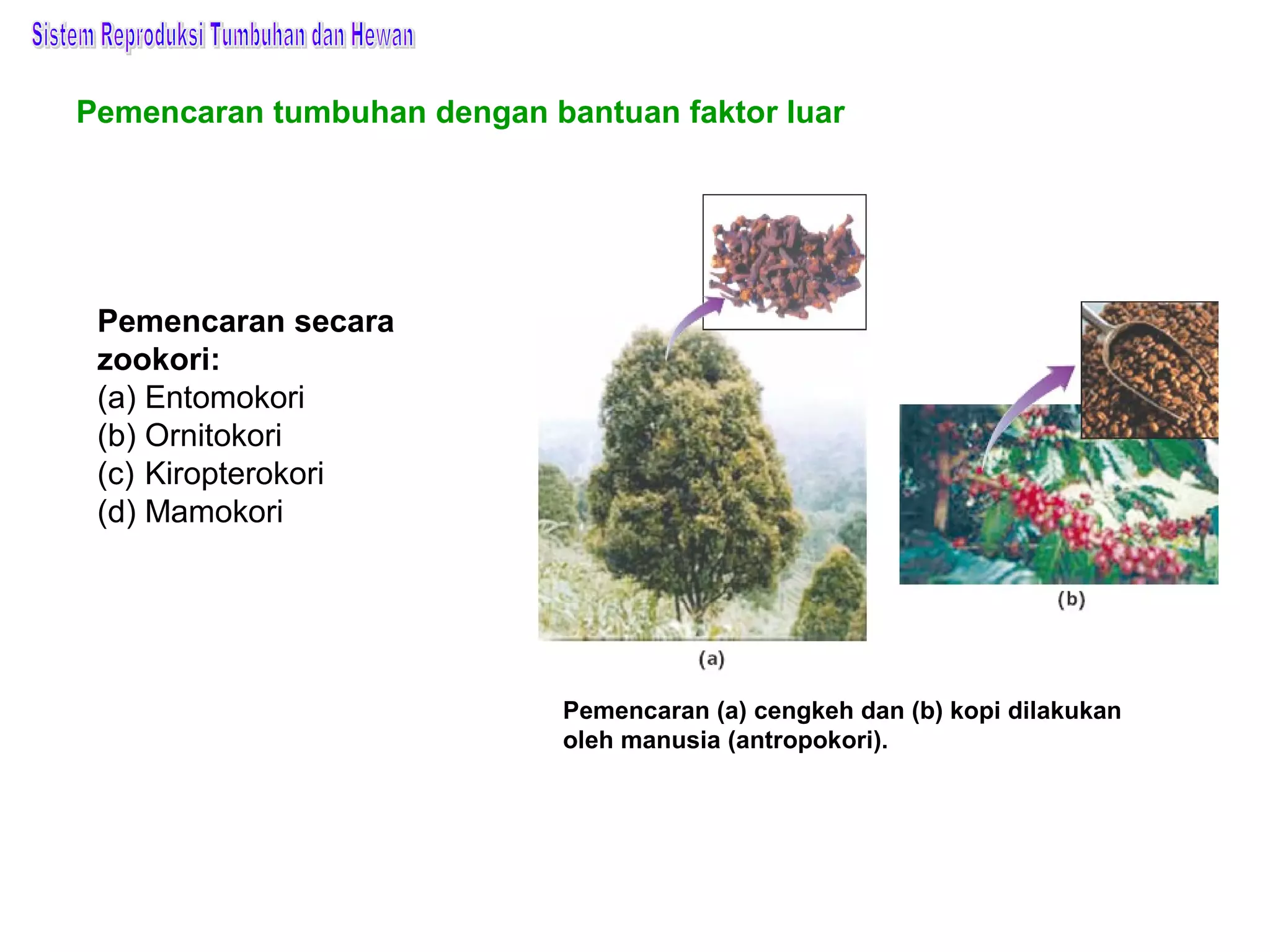 Bab 10 sistem reproduksi tumbuhan dan hewan | PPT
