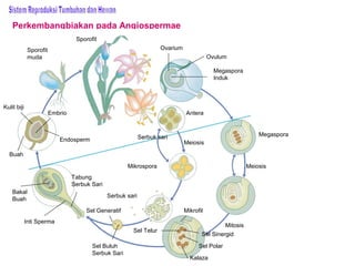 Bab 10 sistem reproduksi tumbuhan dan hewan | PPT