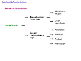 Bab 10 sistem reproduksi tumbuhan dan hewan | PPT