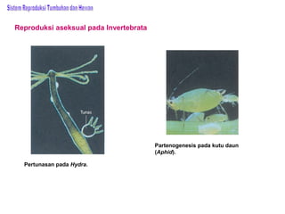 Bab 10 sistem reproduksi tumbuhan dan hewan | PPT