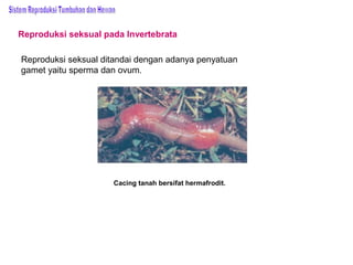 Bab 10 sistem reproduksi tumbuhan dan hewan | PPT