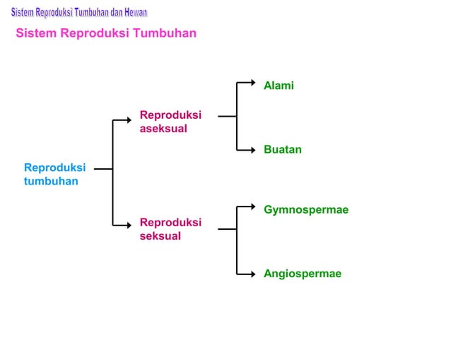 Bab 10 sistem reproduksi tumbuhan dan hewan | PPT