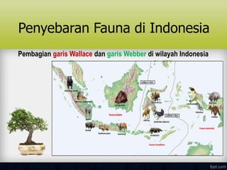 Bab 10 keanekaragaman mahluk hidup dan perkembangannya | PPT