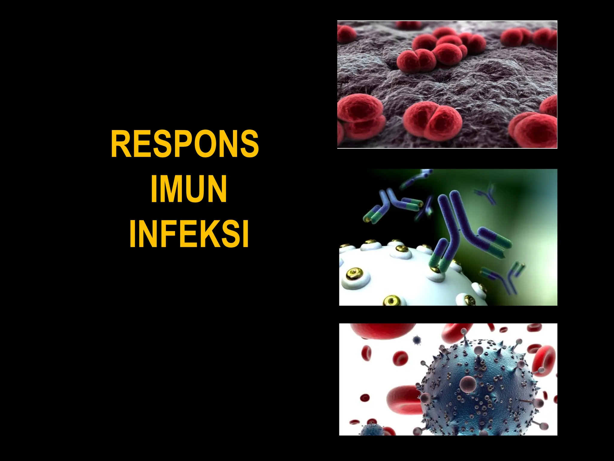 BAB 12 - IMUNOLOGI INFEKSI DAN TUMOR.ppt
