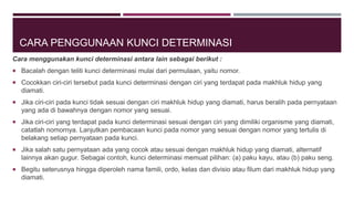 Bab 13. Ringkasan determinasi dan identifikasi hewan vertebrata | PPTX