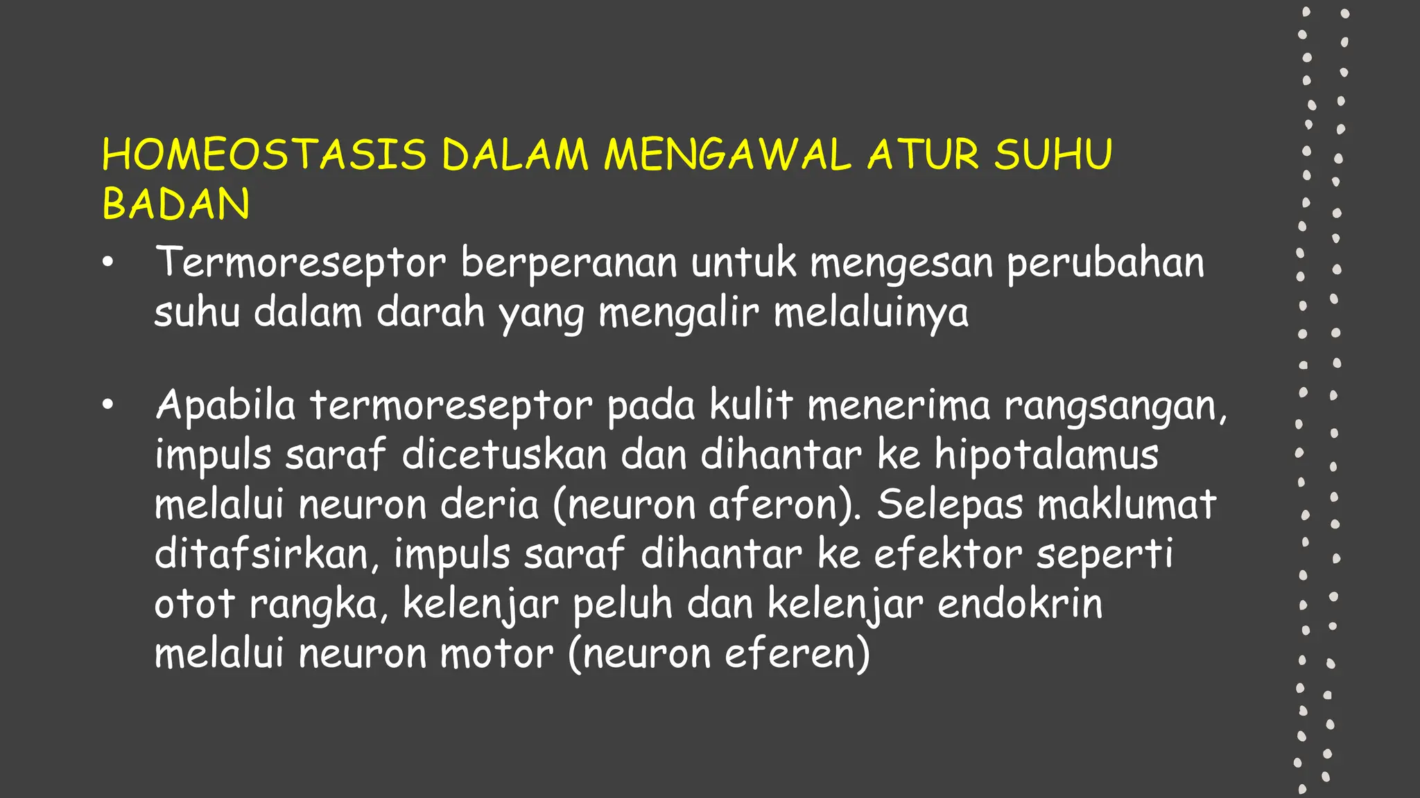 Bab 13 homeostasis dan sistem urinari nota mudah belajar | PPTX
