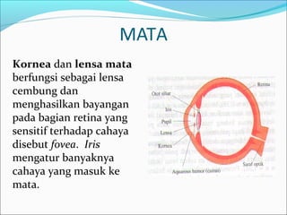 Bab 15 alat alat optik | PPT