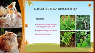 Bab 1 Biodiversiti Biology Form Five Pptx