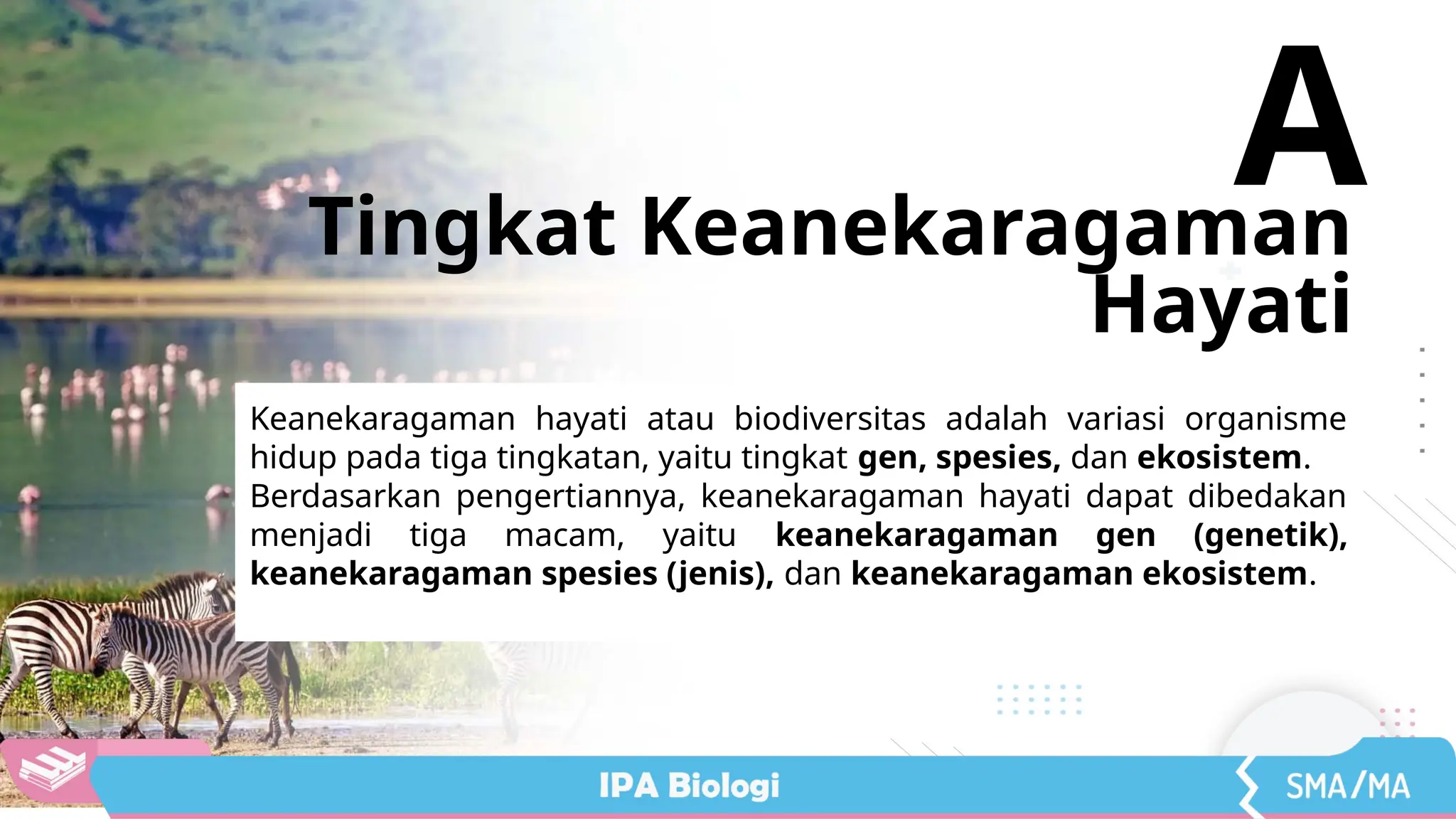 keanekaragaman hayati BAB 1 BIOLOGI KELAS SEPULUH | PPTX