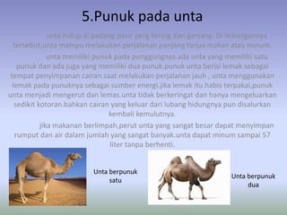 Bab 1 ciri ciri makhluk hidup | PPTX