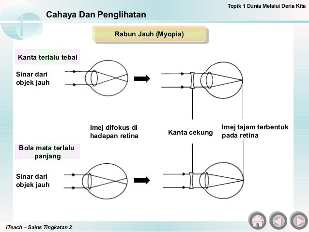 Bab 1 Dunia Melalui Deria Kita