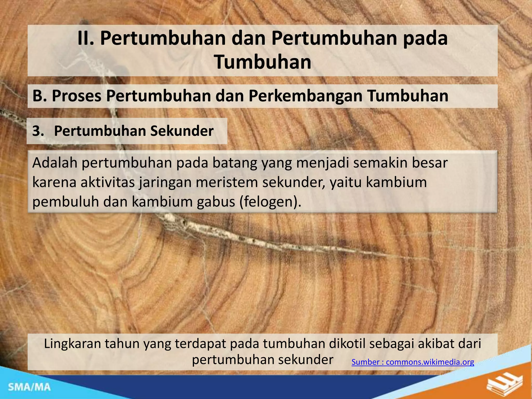 Bab 1 biologi xii | PPTX