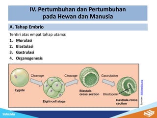 Bab 1 biologi xii | PPTX