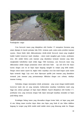 Daur Hidrologi dan Ekosistem DAS | DOCX