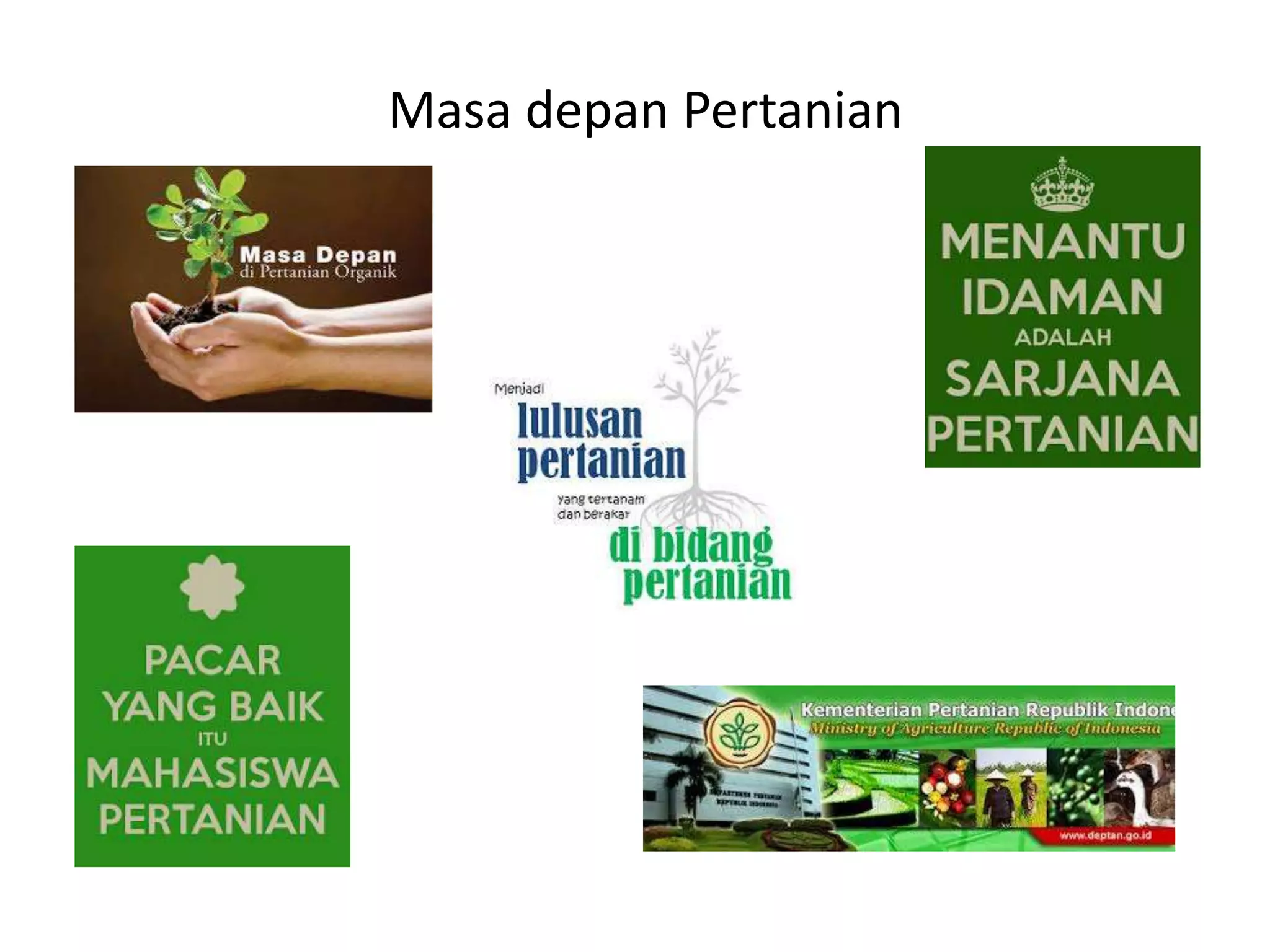 Bab 1 Pengantar Ilmu Pertanian | PPTX
