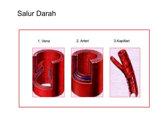 BAB 1 LUKA DAN PENDARAHAN DALAM PERTOLONGAN CEMAS | PPT