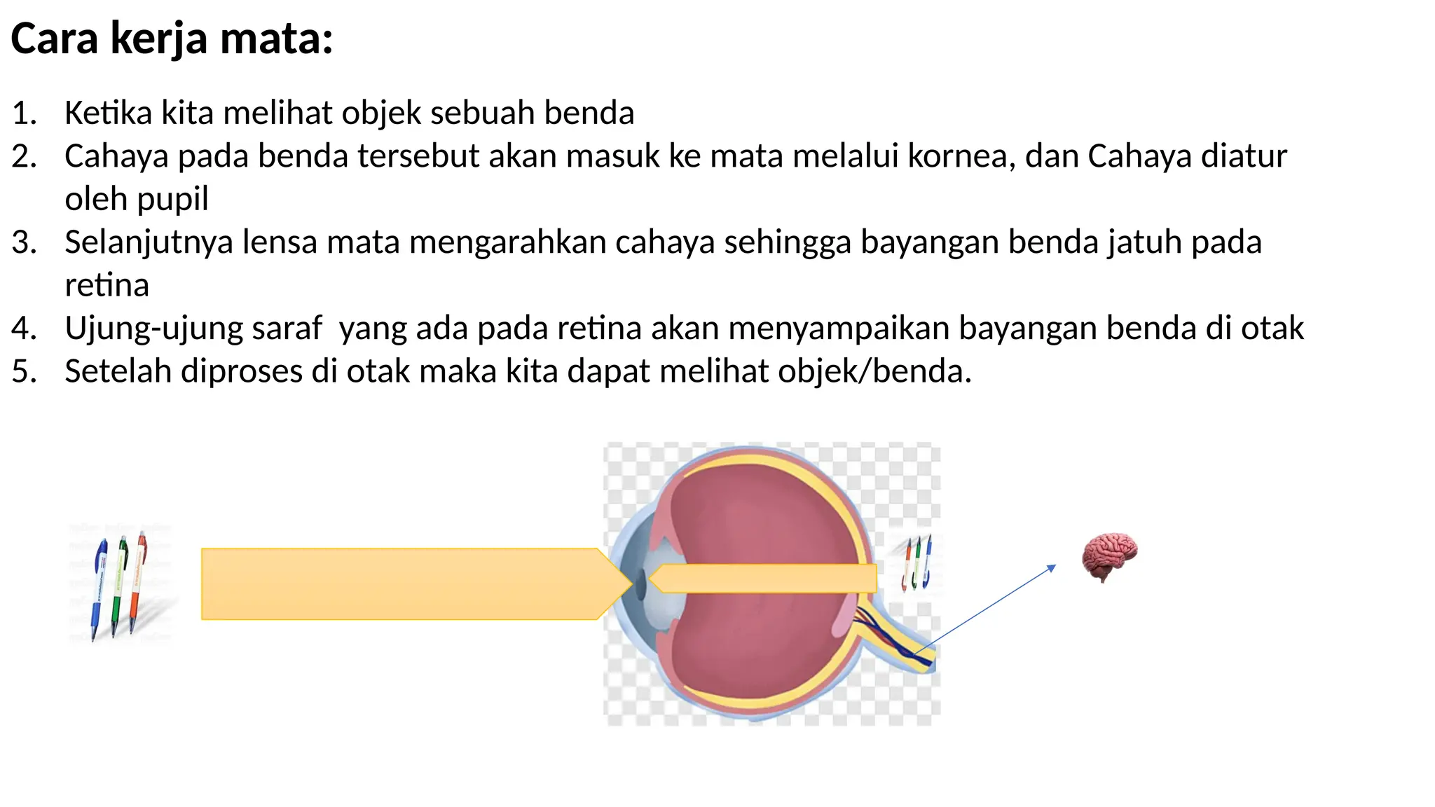 BAB 1 MELIHAT KARENA CAHAYA KELAS 5.pptx