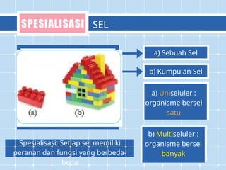 BAB 1. Mikroskop, Mengenal Sel Hewan dan Sel tumbuhan.pptx