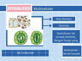 BAB 1. Mikroskop, Mengenal Sel Hewan dan Sel tumbuhan.pptx