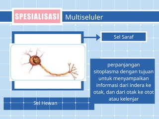 BAB 1. Mikroskop, Mengenal Sel Hewan dan Sel tumbuhan.pptx
