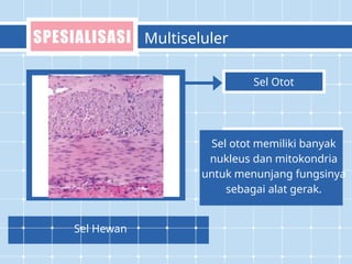 BAB 1. Mikroskop, Mengenal Sel Hewan dan Sel tumbuhan.pptx