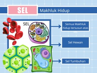 BAB 1. Mikroskop, Mengenal Sel Hewan dan Sel tumbuhan.pptx