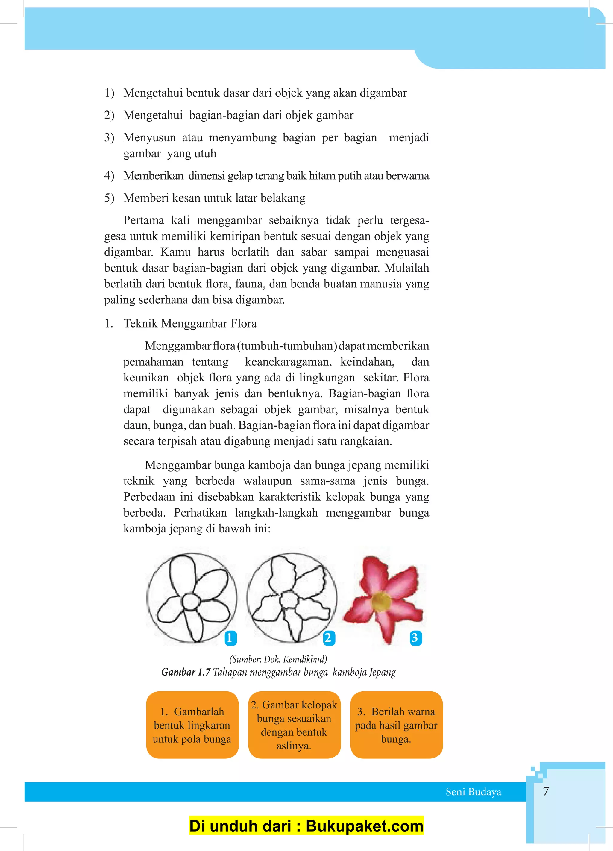 Bab 1 menggambar flora, fauna, dan alam benda | PDF
