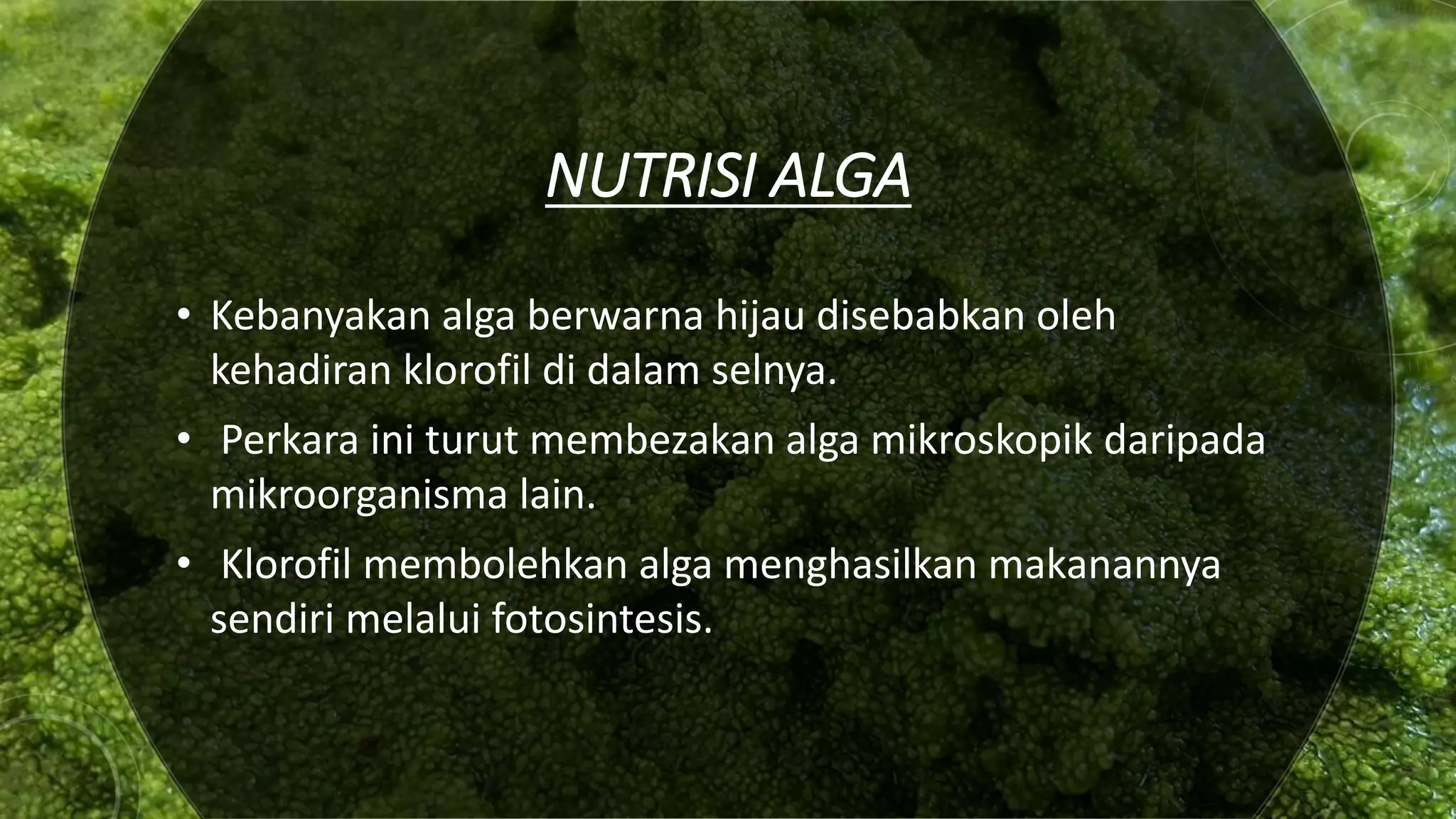 BAB 1 MIKROORGANISMA.pptx