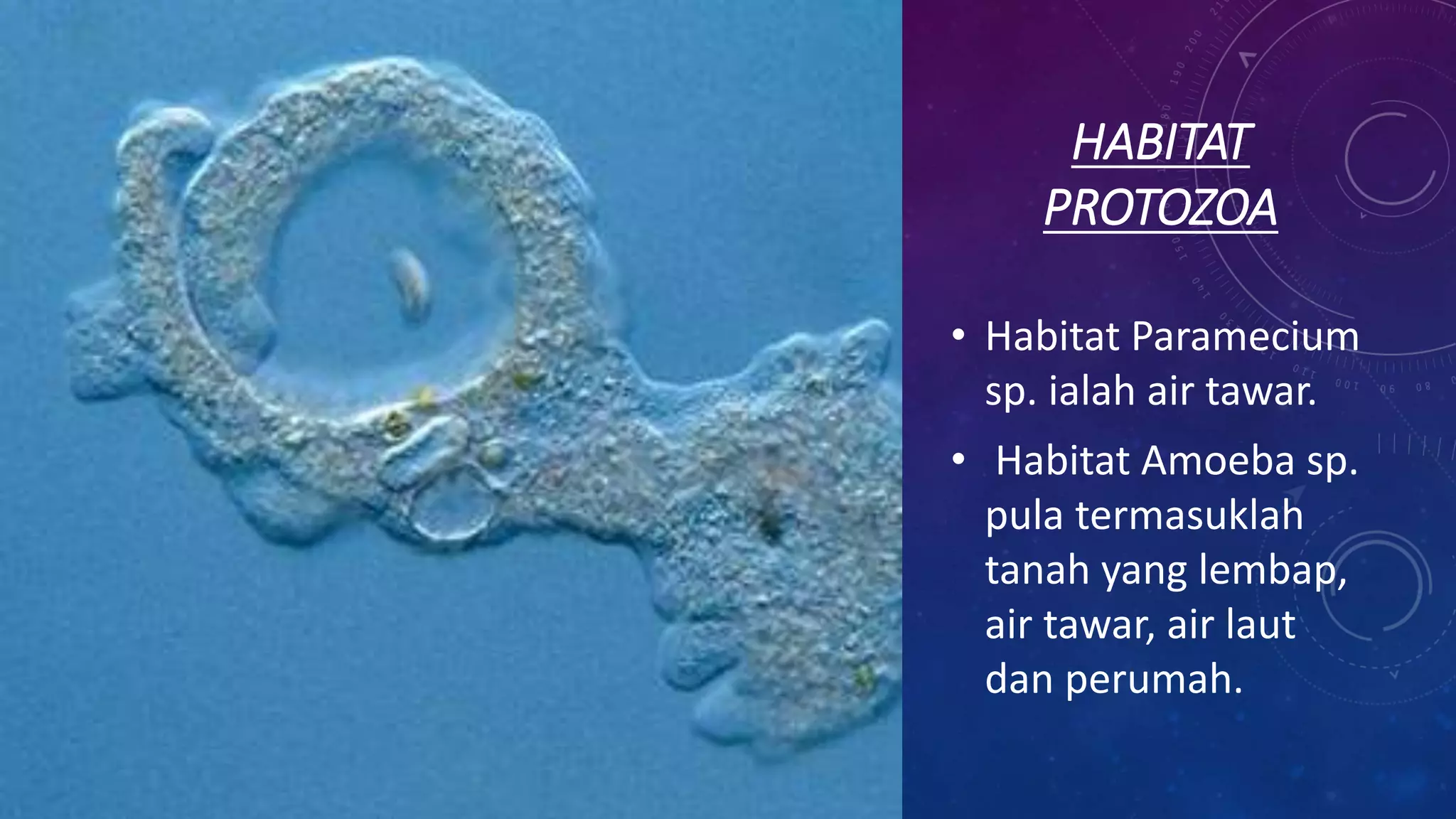 BAB 1 MIKROORGANISMA.pptx