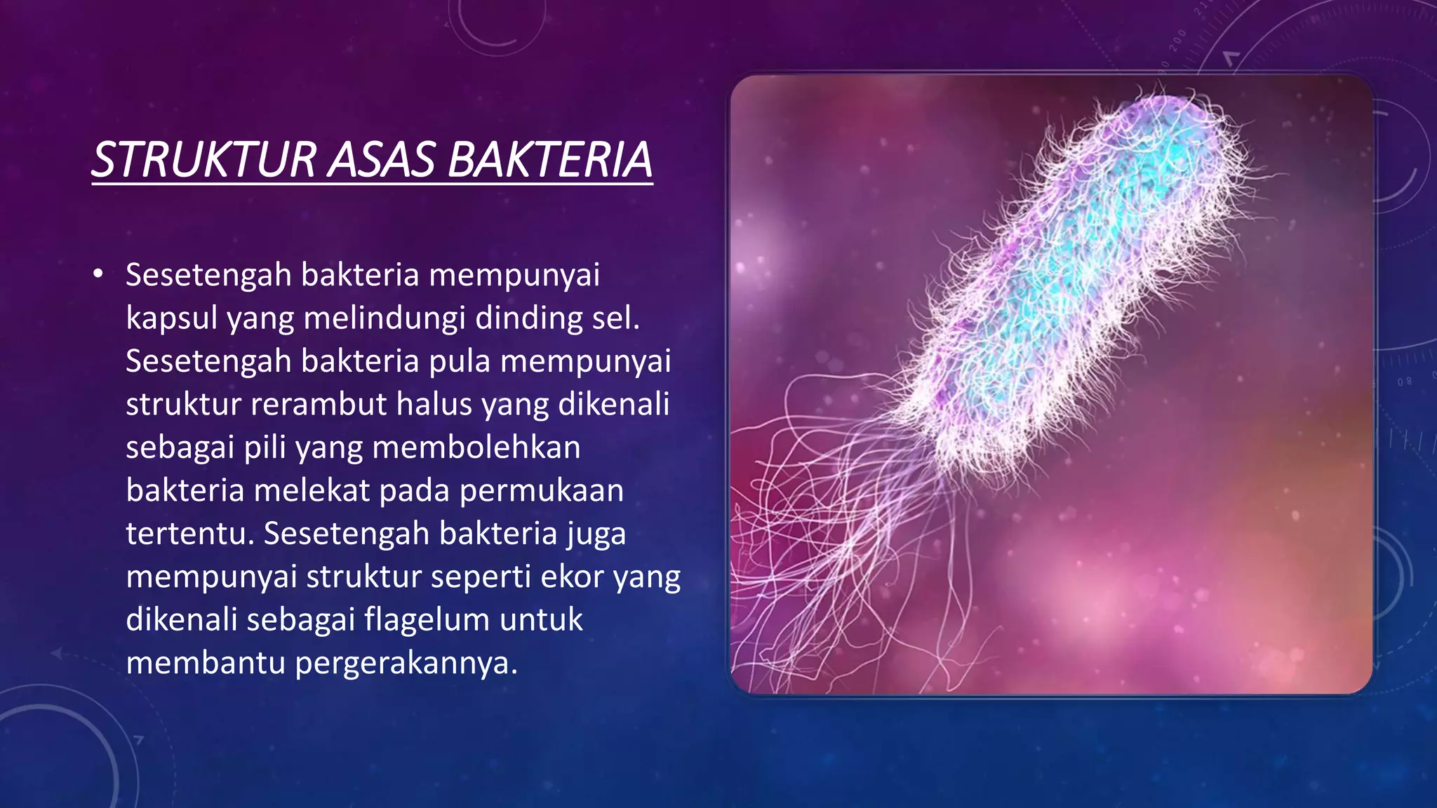 BAB 1 MIKROORGANISMA.pptx