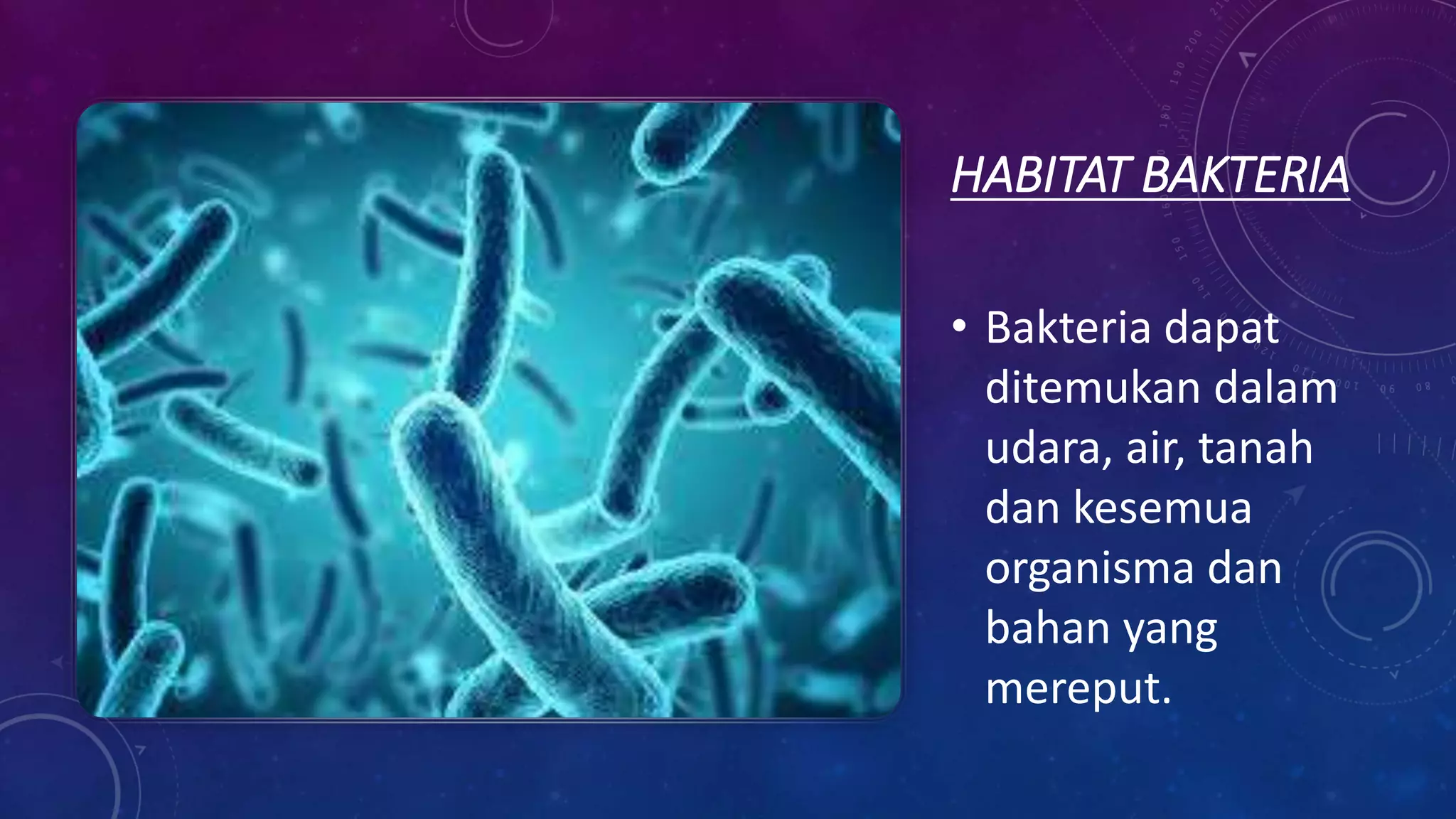 BAB 1 MIKROORGANISMA.pptx