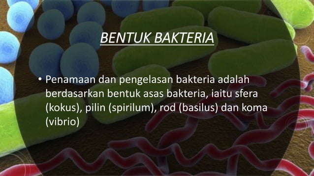 BAB 1 MIKROORGANISMA.pptx