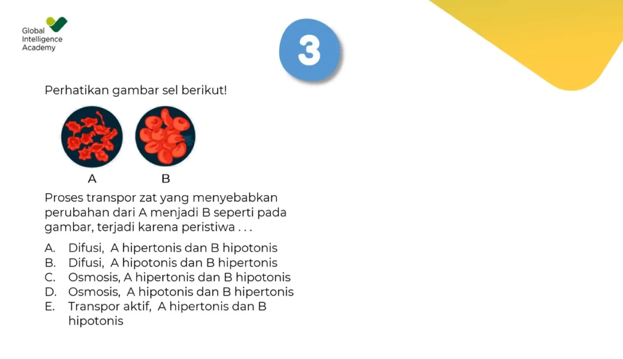 BAB 1 MATERI SEL, PART 2 - BIOPROSES SEL.pptx