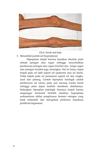 bab1Patofisiologi full.pdf